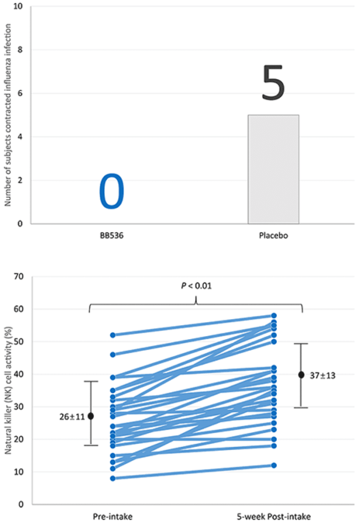 Bifidobacterium là gì? Vai trò lợi khuẩn BB536